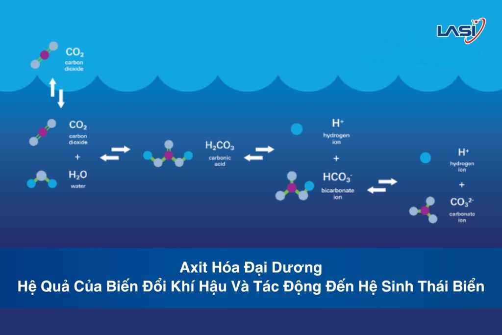 Axit Hóa Đại Dương: Hệ Quả Của Biến Đổi Khí Hậu Và Tác Động Đến Hệ Sinh ...