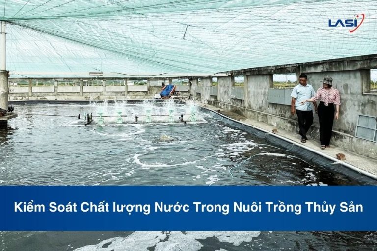 Giải Mã Khái Niệm Về Năng Lượng Mặt Trời Trong Thực Tiễn